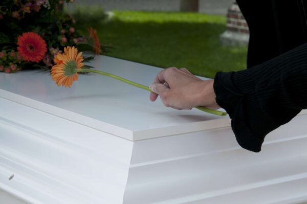 Kister: Hvilke forskellige slags der findes, og hvilke muligheder man har